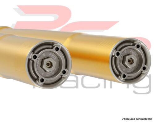 Öhlins FGR 400: the MUST for the circuit - Paddock GP